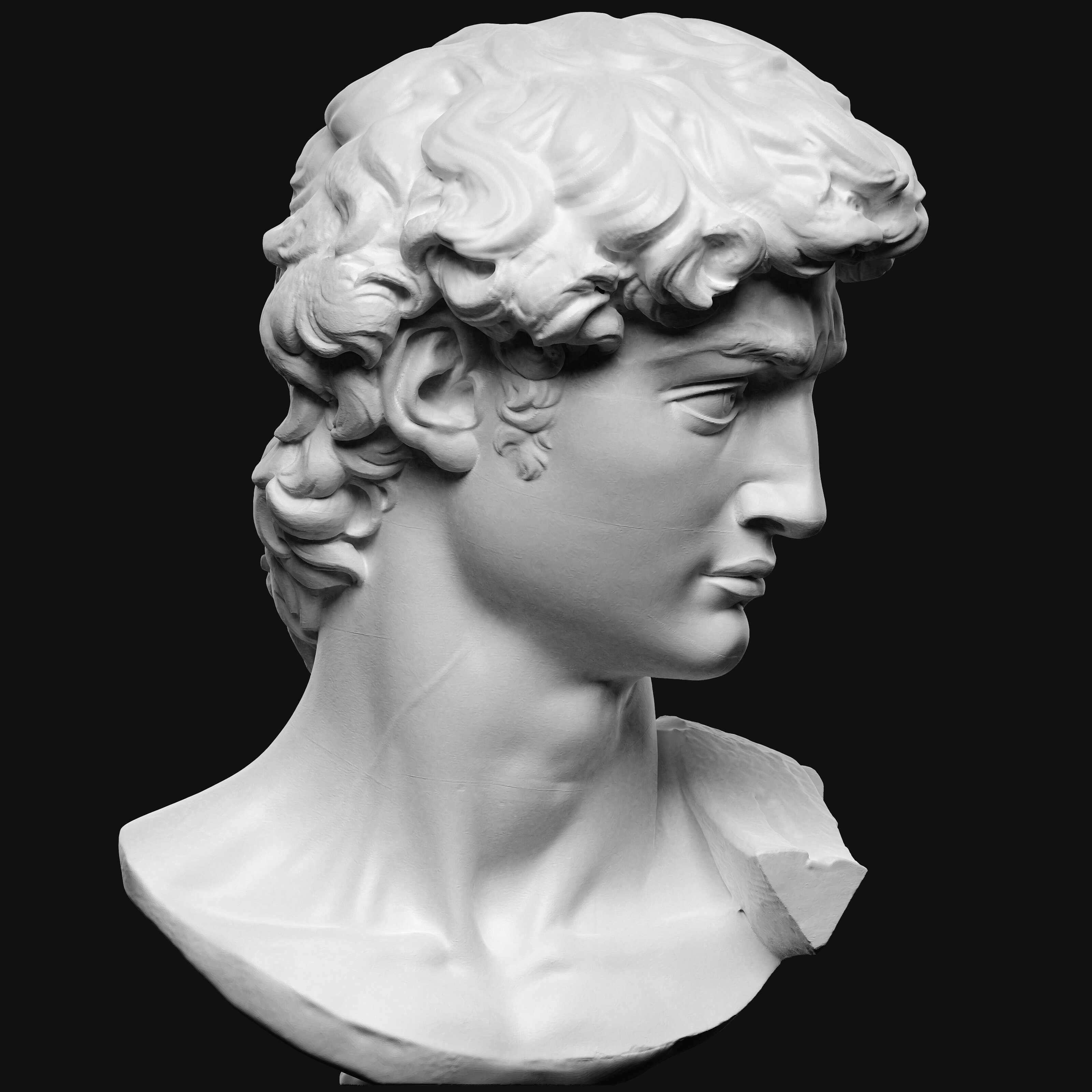File:Michelangelo Buonarroti, Hoved fra statuen af David, , KAS2232 ...